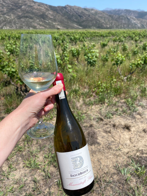 South African Old Vine Project Tasting with DaschBosch – Cellar Door Wines