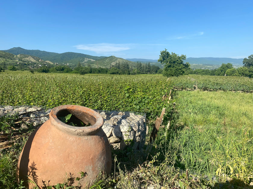 A Georgian Wine Adventure – Cellar Door Wines
