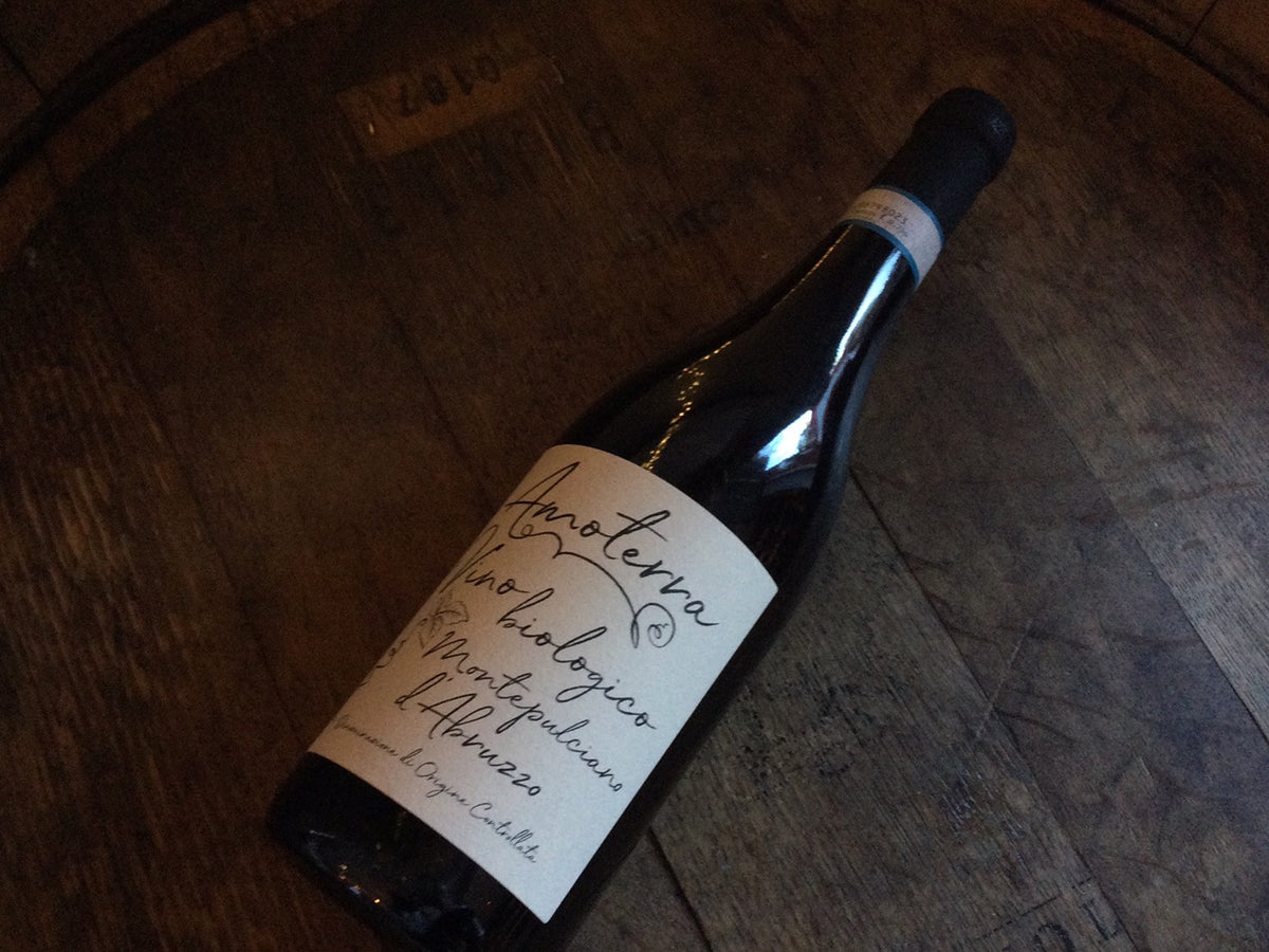 Amoterra Rosso Montepulciano 2024 – Cellar Door Wines